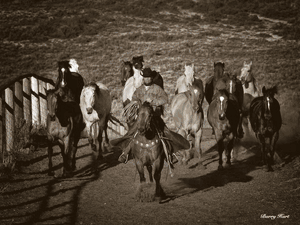 Barry Hart Horse and Western Art Prints