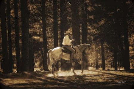 Barry Hart - High Country Cowboy - Western Print - Canvas Options