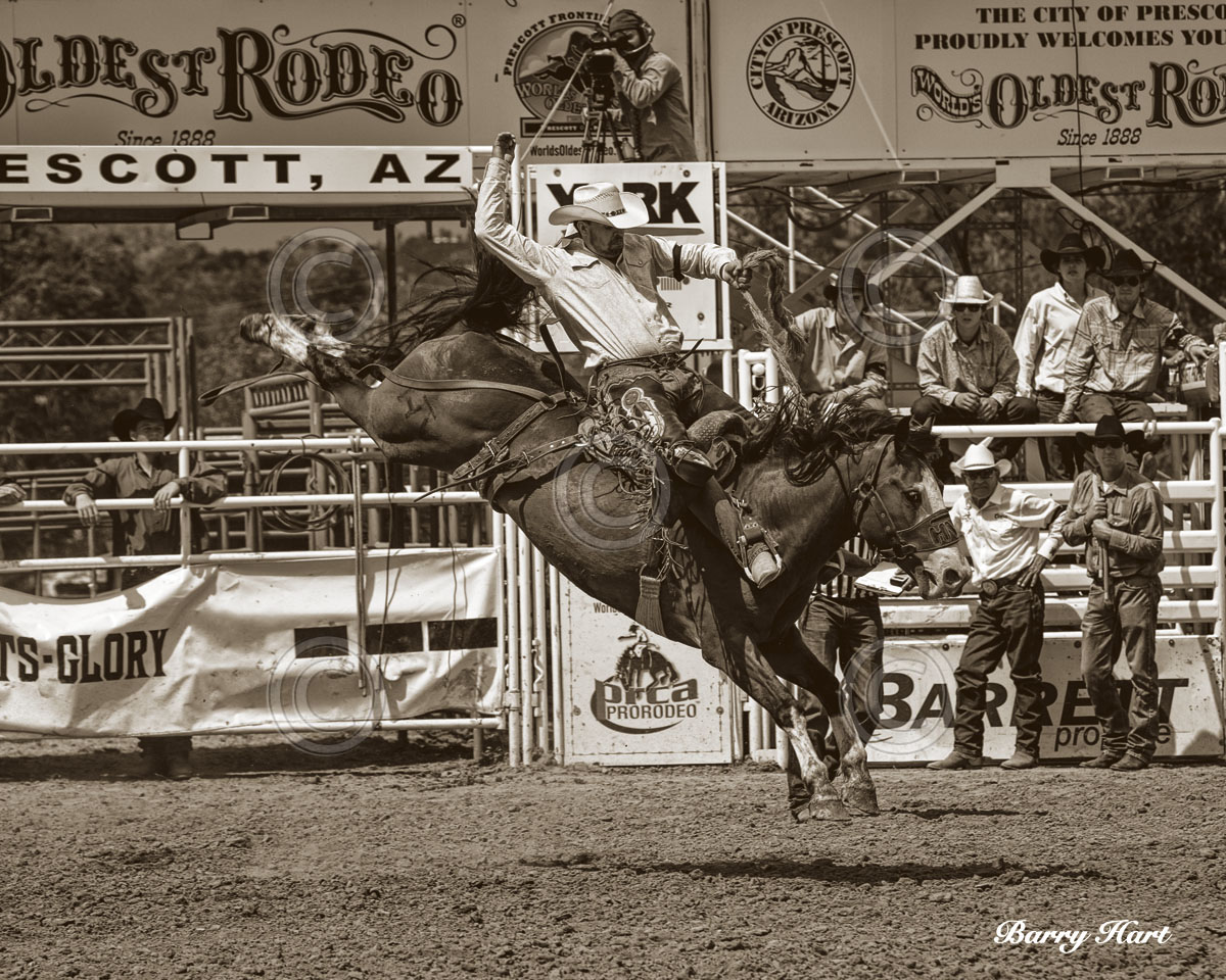 Barry Hart - How It's Done Son - Rodeo Print