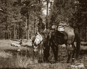 Barry Hart Horse and Western Art Prints