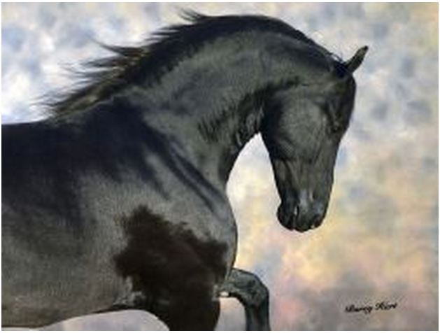 Barry Hart - Local Motion - Horse Print - Canvas Options