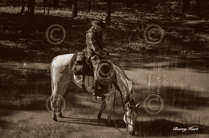 Barry Hart Horse and Western Art Prints