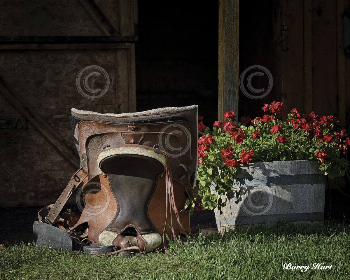 Barry Hart - Saddle Still Life - Color Print
