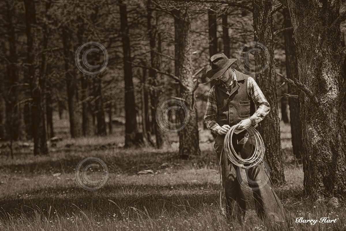 Barry Hart - Solitude - Sepia Cowboy Print - Canvas Options