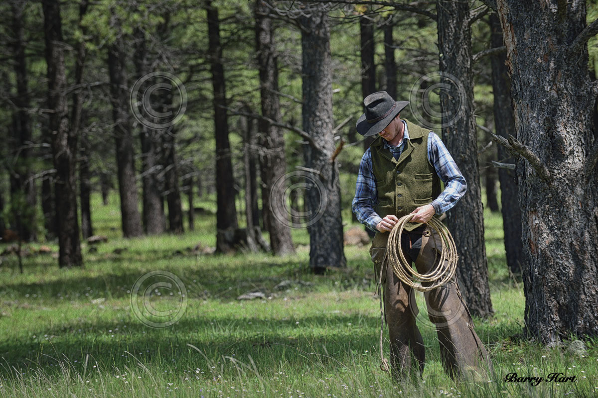 Barry Hart - Solitude - Western Print - Canvas Options