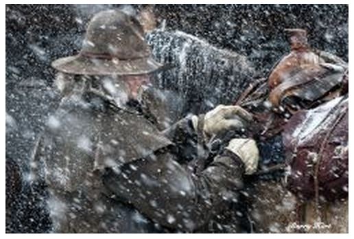 Barry Hart - Springtime in Colorado - Western Print - Canvas Options