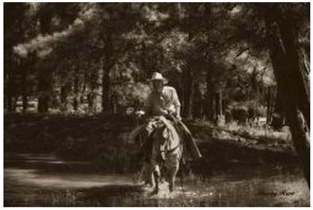 Barry Hart - The Magical Forest - Sepia Western Print