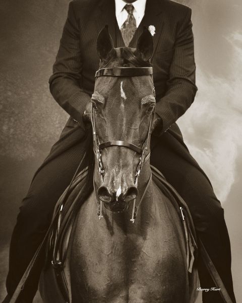 Barry Hart - Your American Idol - Western Print - Canvas Options