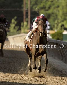 Preakness Pictures - Art Prints of the Preakness Stakes