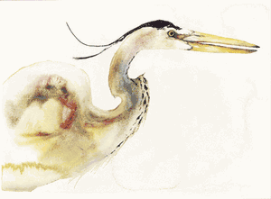 Carol Grigg Art Prints of Horses (and more)