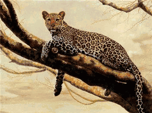 Charles Frace Wildlife Prints