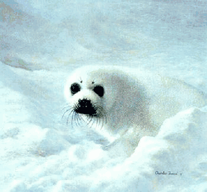 Charles Frace Wildlife Prints