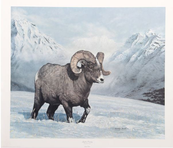Charles Frace - Bighorn Country - Limited Edition Sheep Print