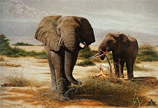 Charles Frace - Elephants at Kilimanjaro - Limited Edition Print