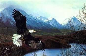 Charles Frace - Freedom - Limited Edition American Eagle Print