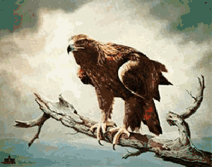 Charles Frace Wildlife Prints