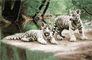 Charles Frace Wildlife Prints