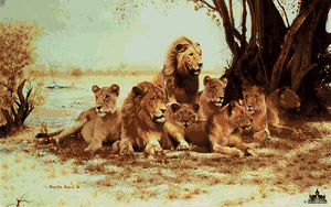 Charles Frace Wildlife Prints