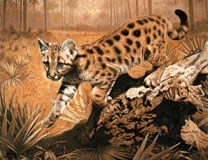 Charles Frace Wildlife Prints