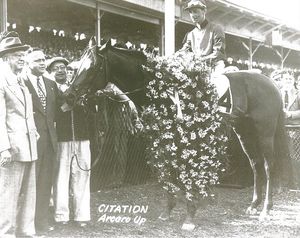 Citation Pictures - Art Prints of the Race Horse Citation