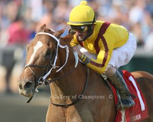 Curlin Pictures and Art Prints - 2007 Horse of the Year