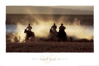 David Stoecklein - California Gold - Ships Free - Ships Quickly