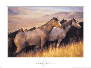 David Stoecklein Photography - Page 2