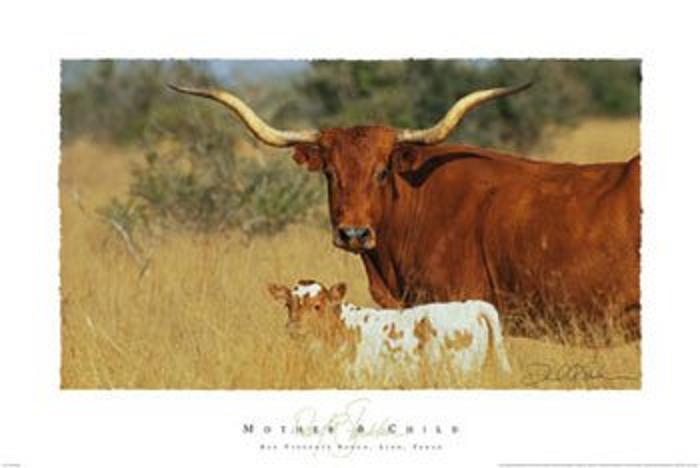 David Stoecklein - Mother and Child