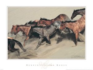 David Stoecklein Prints