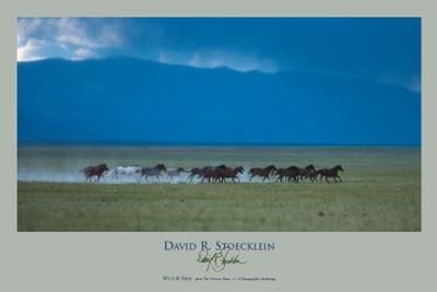 David Stoecklein - Wild & Free - Ships Quickly - Ships Free