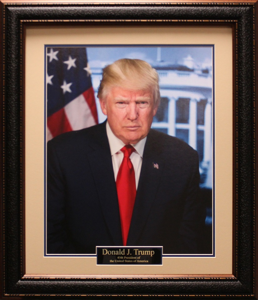 Donald Trump - 45th President of the U.S. - Framed & Matted Photo