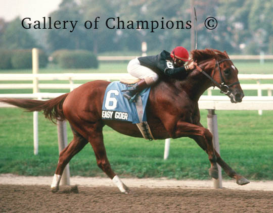 Easy Goer in the 1988 Cowdin Stakes