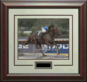 Curlin Pictures and Art Prints - 2007 Horse of the Year