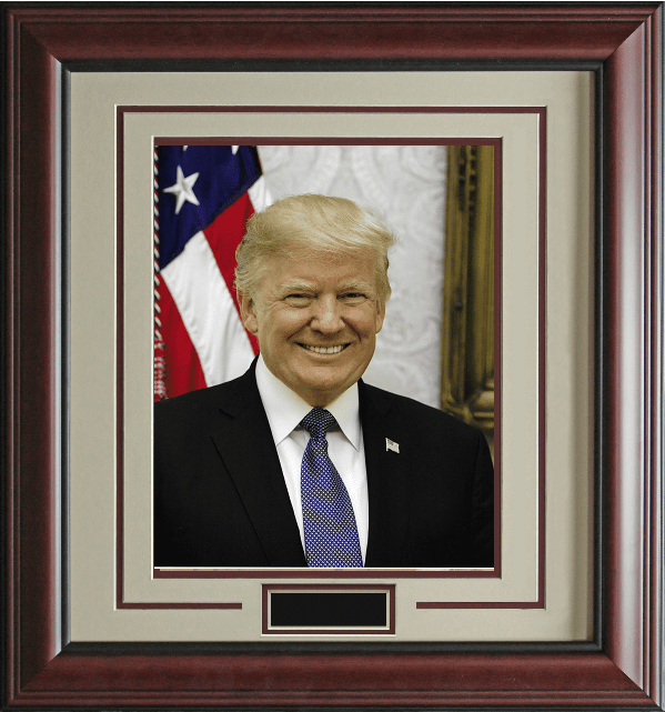 Framed Donald Trump - Smiling - Two Sizes