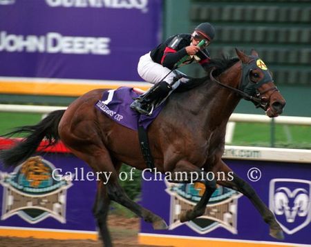 Ghostzapper Photo - 2004 Breeder's Cup Classic Winner