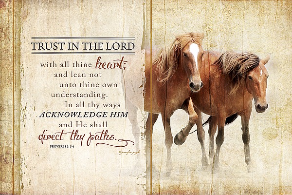 Jennifer Pugh - Trust In the Lord - Horse Print with Bible Verse