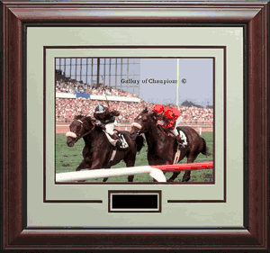 John Henry Pictures - Art Prints of the Race Horse John Henry