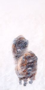 John Saunders Horse and Cowboy Art Prints