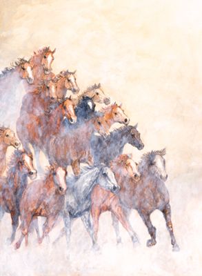 John Saunders - Wild Run -Limited Edition