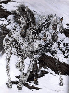 Judy Larson Horse Art Prints (and More)