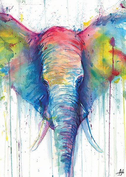 Marc Allante - Caeli - Elephant Print