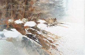 Morten E. Solberg Nature and Wildlife Prints