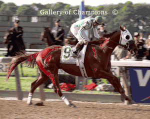 Point Given Pictures - Art Prints of the Race Horse Point Given