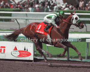 Point Given Pictures - Art Prints of the Race Horse Point Given
