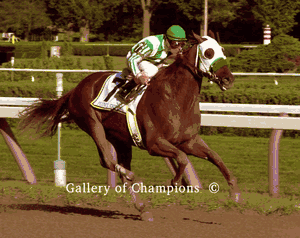 Point Given Pictures - Art Prints of the Race Horse Point Given