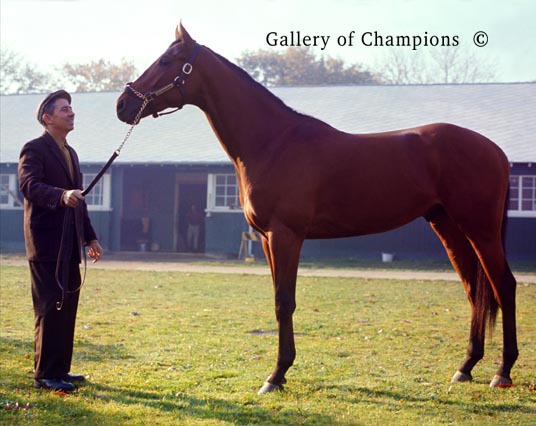 Race Horse Dr. Fager With John Nerud - Art Print