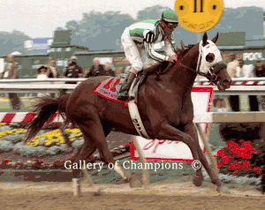 Point Given Pictures - Art Prints of the Race Horse Point Given