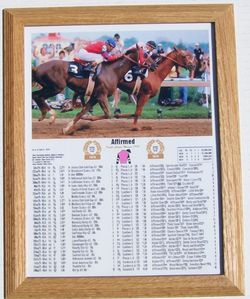 Affirmed Pictures - Art Prints of Race Horse Affirmed