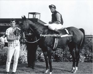 Northern Dancer Pictures - Art Prints of the Race Horse Northern Dancer