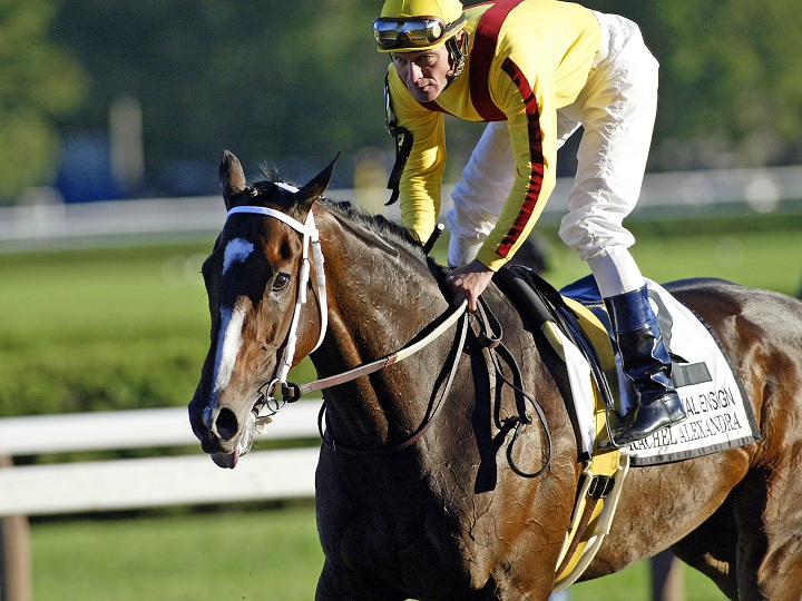 Rachel Alexandra After Defeat in the 2010 Personal Ensign at Saratoga